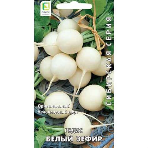 Редис Белый зефир Поиск (65387): купить семена почтой в России ...