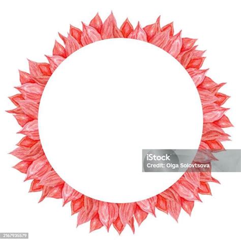 수채화 구성 분홍색 목련 꽃과 화 환 식물 손으로 그린 그림 와 일본 꽃 와 원형 카드 초대장 개화기에 대한 스톡 벡터 아트 및