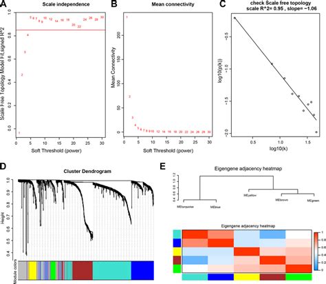 Analysis Of The Weighted Gene Correlation Network Analysis WGCNA Of Download Scientific