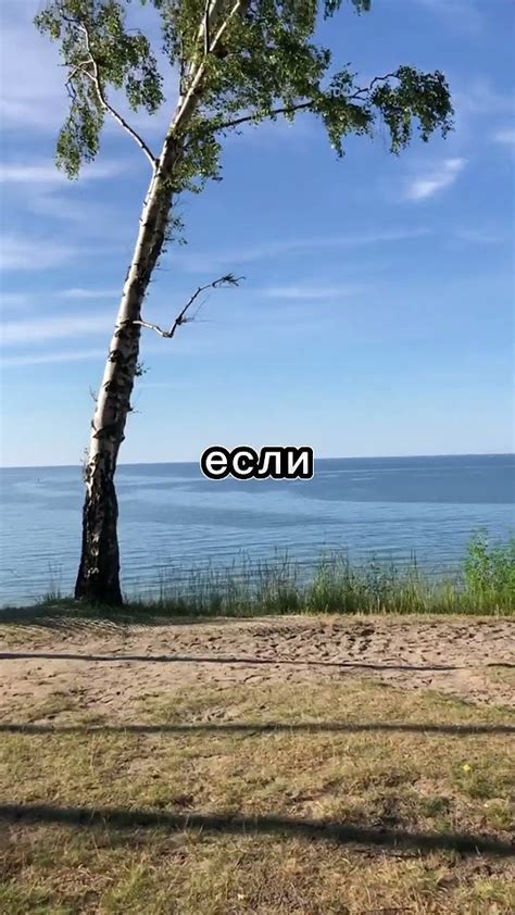 Правда от Жако Фреско 🔥🔥🔥 Youtube