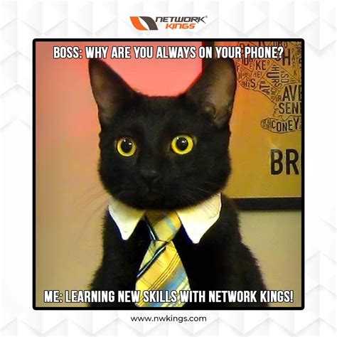 Network Kings On Linkedin Always Be Improving There Is No Bar To Learning Begin Learning