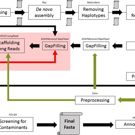 bioinformatics pipeline followed for cork oak genome assembly raw set