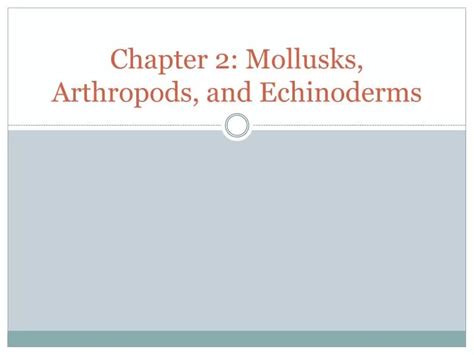 Ppt Chapter 2 Mollusks Arthropods And Echinoderms Powerpoint