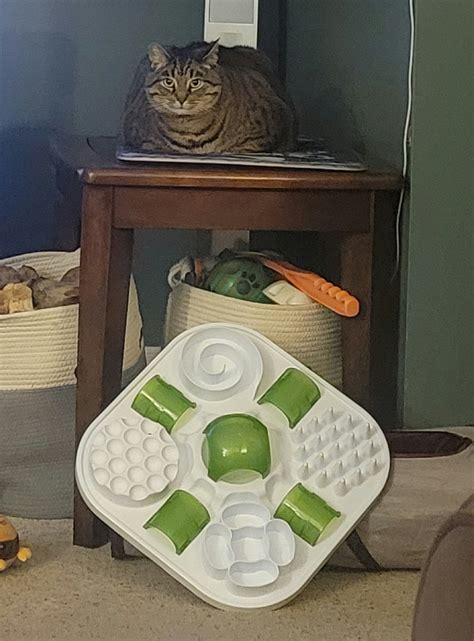 Sun Solved The Puzzle Feeder Rchonkers