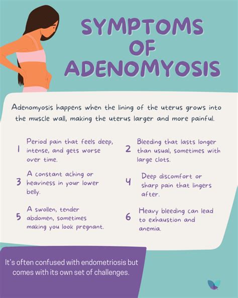 Adenomyosis Vs Endometriosis Understanding The Differences In Symptoms Pelvic Rehabilitation