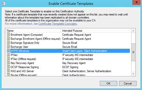 Workstation Authentication Certificate Template