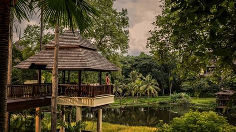 Chiang Mai Luxury Resort Thailand Nature Resort Four Seasons