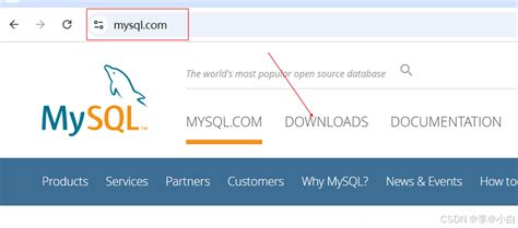 安装mysql(小白版)mysql Server Only Csdn博客 安装mysql(小白版)mysql Server Only Csdn博客