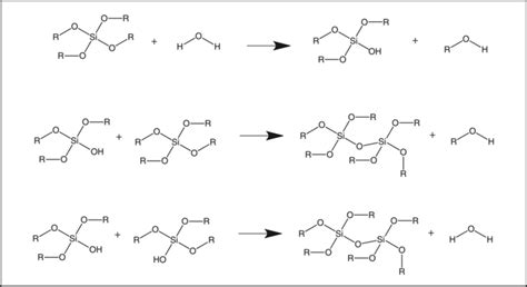 Schematic Representation Of Reactions During Sol Gel Process Adapted