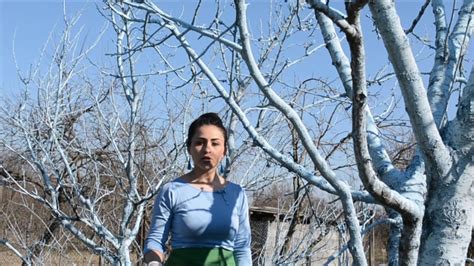 როგორ მოვამზადოთ შაბიამანის ხსნარი ხეხილის შესაწამლად Youtube