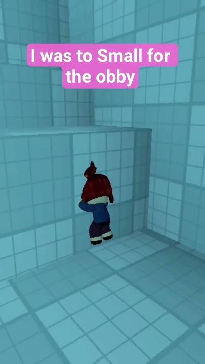 I Was To Small For The Obby Youtube