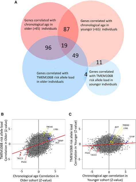 Figure 5 From Differential Aging Analysis In Human Cerebral Cortex