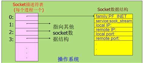 计算机网络学习笔记（二） socket编程 代码先锋网