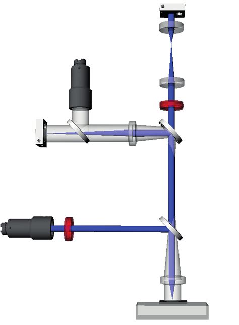 The Experimental Setup Of CFS Outline Is Described In Detail In The Download Scientific