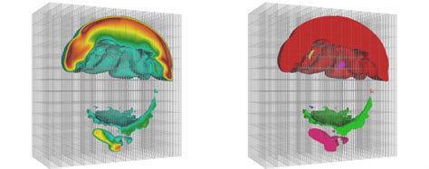 left sub volume mesh extracted from a 21 billion cell structured grid download scientific