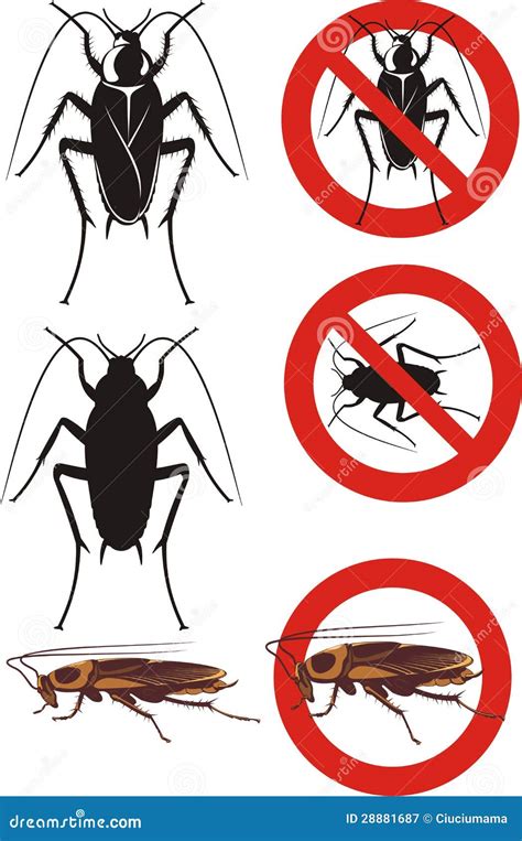 Cockroach Warning Sign Vector Illustration On White Background Red