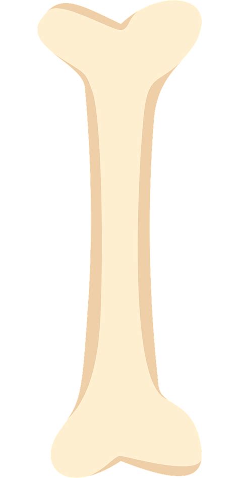 Free Bone Texture Vector Art Download 2178 Bone Texture Icons