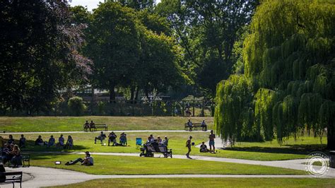 Brass Fly Brass Fly Added A New Photo