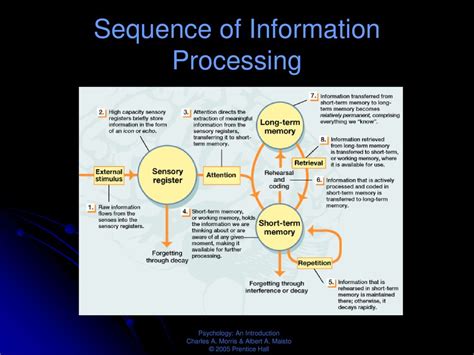 PSY 2012 L.A. Siegel, MA, CSE, AASECT - ppt download