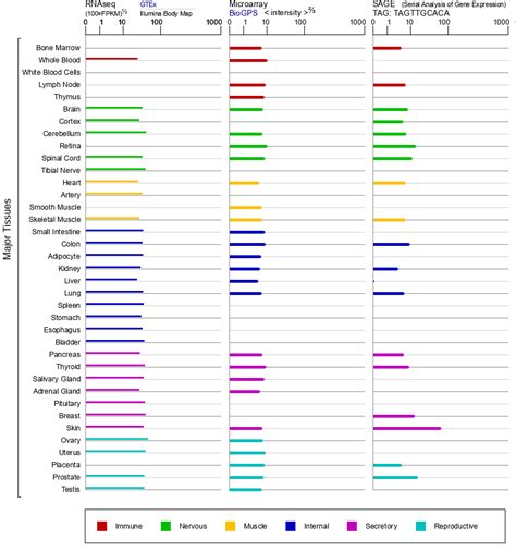 Ythdc1 Gene Genecards Ytdc1 Protein Ytdc1 Antibody