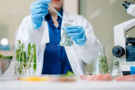 Food Science As Lab Scientists Test And Analyze Vegetables For Safety