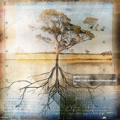 Graph Of Tree And Roots High Res Vector Graphic Getty Images