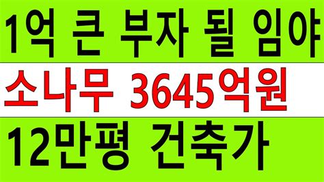 1억 12만평 부자 될 소나무3654억원 탄소권1억5천만원 임야 보전관리포함 건축가 자연인 전원생활 숲야영장6차산업 임업직불금 땅과함께새희망을경매임야 공매임야 나도땅주인