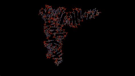 T RNA D Model By Vacmar Bd Sketchfab