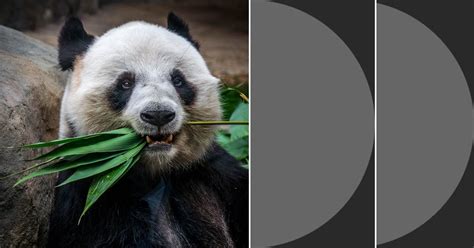 List Latest Curated By Avyan Sanghvi Medium