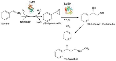 Epoxide Hydrolases Multipotential Biocatalysts