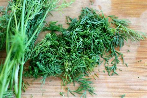 Зелень укропа 8г: продажа, цена в Кропивницком. Пряности, специи ...