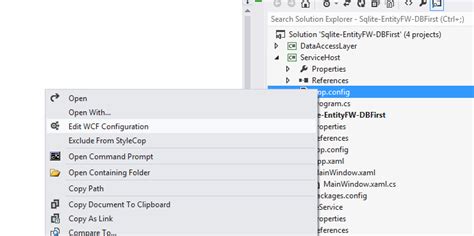 How To Host A Wcf Service In Console Application Using Ws Binding