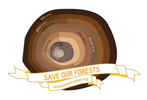 Tree Age Infographic On Behance