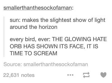 Cue Horrifying Bird Screeching Clean Funny Memes Funny Facts Funny