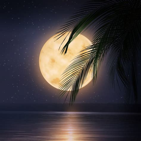 Soothing Sleep Music Youtube