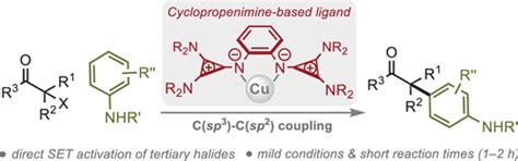 Copper Catalyzed C C Cross Couplings Of Tertiary Alkyl Halides With Anilines Enabled By