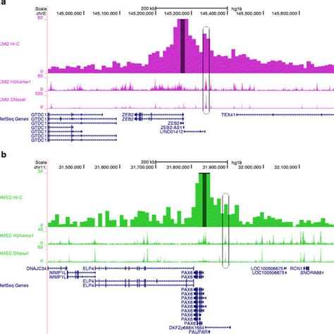 an example of a known long range enhancer promoter interaction in the