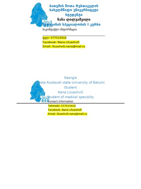 ნ ლილუაშვილი სავიზიტო ბარათი Pdf