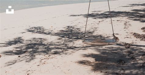 배경에 물이 있는 해변 위에 매달려 있는 나뭇가지 사진 Unsplash의 무료 바다 이미지