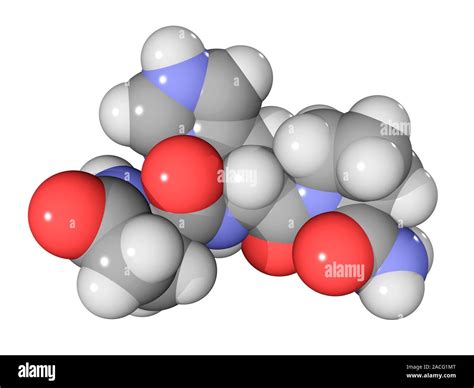 Thyrotrophin Releasing Hormone Molecule Computer Model Showing The Structure Of Thyrotrophin
