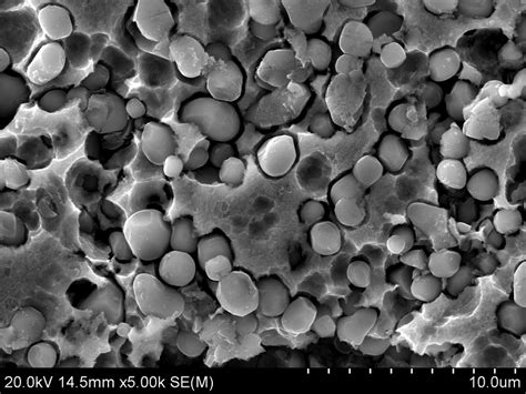 Composite Zone Produced In M0 Alloy Deep Etched Microstructure