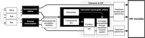 Conceptual Framework Linking Alcohol Use And Socioeconomic Status To Download Scientific