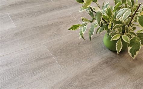 Салон напольных покрытий наполеон 81 фото