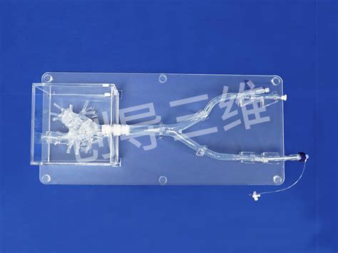 宁波创导三维医疗科技有限公司 血管介入模型 内窥镜