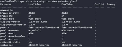 Peer Ip Mismatch Between Clag Peers System Configuration And Management