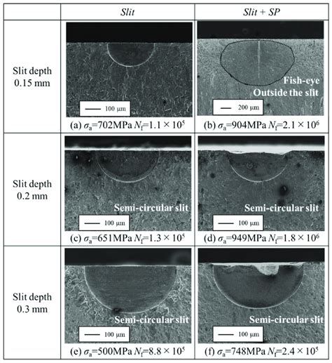 Fracture Surface Observation Results Of Slit Specimens Fracture Download Scientific Diagram