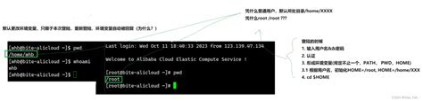 深入解析：命令行参数与环境变量在linux中的作用与区别 csdn博客