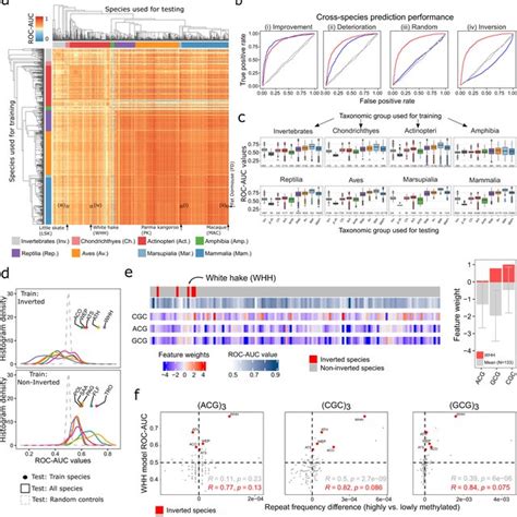 Machine Learning Identifies A Predictive Relationship Genomic Code
