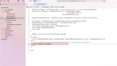 React Native Code Push 最新接入配置指南codepush官网 Csdn博客