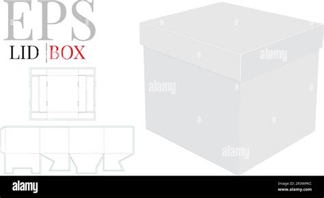 Lid Box Die Cut Template Vector White Clear Blank Isolated Square